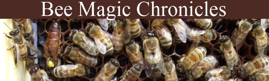 Bee Magic Chronicles - Home